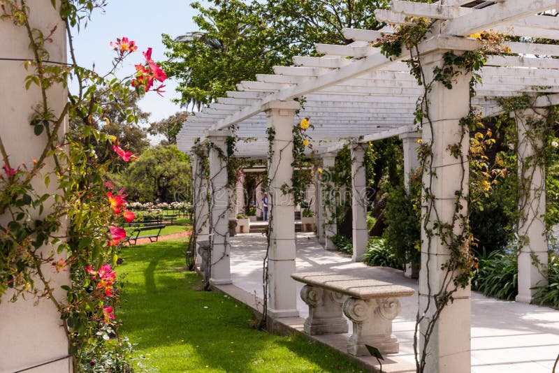 Romantic park in spring. stock photo. Image of roses - 112468584