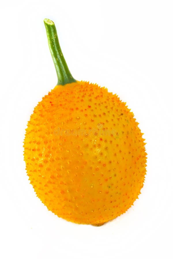 Gac fruit stock photo. Image of season, melon, dicotyledon - 35891412