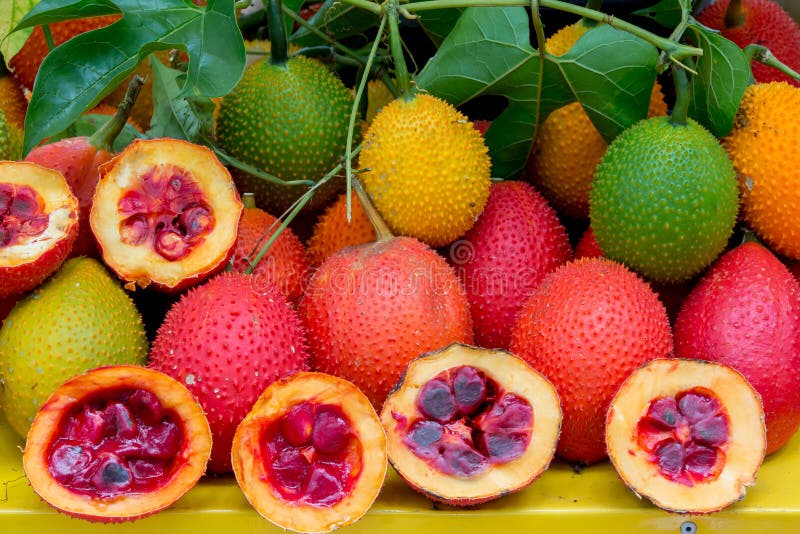 Gac fruits stock image. Image of diet, baby, kakrol, healthy - 37775651