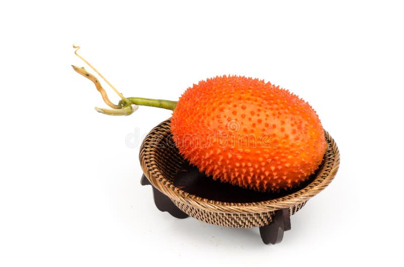 Gac fruit stock photo. Image of spiny, vegetarian, delicious - 44547124