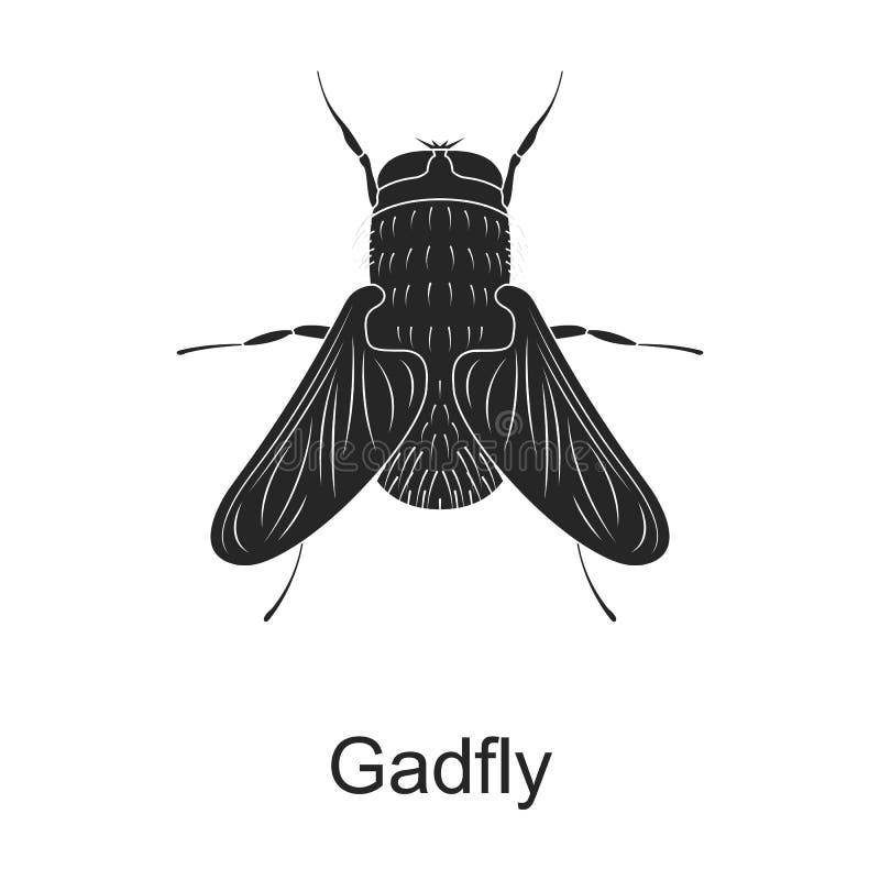 Gadfly Vector Stock Illustrations – 76 Gadfly Vector Stock ...