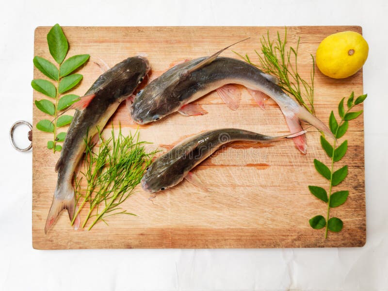 Gafftopsail Cat Fish Fish Decorated with Herbs and Vegetables ...