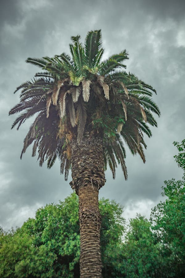 Gagra City Republic of Abkhazia Stock Photo - Image of coast, light ...