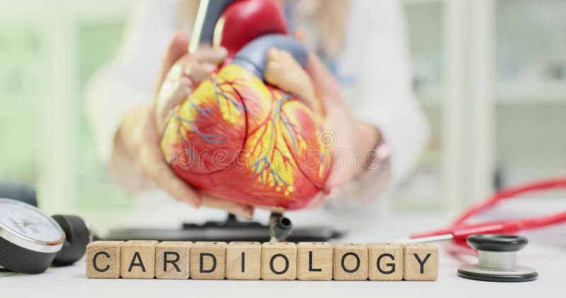 Gaining a Deeper Understanding of Cardiology Using Both Heart Models ...