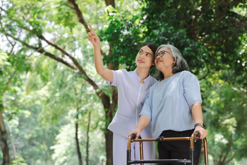 Elderly Women Using Walking Aids for Exercises To Improve Muscle ...