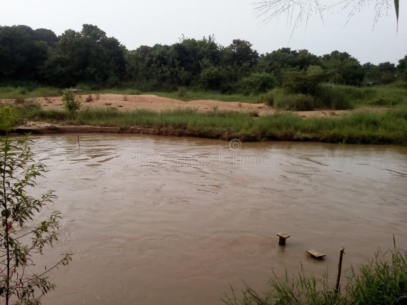 Gal oya river Sri Lanka stock photo. Image of district - 260563322