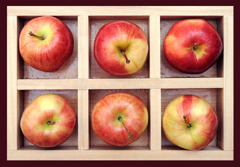 Gala apple in box stock photo. Image of fresh, square - 27854104