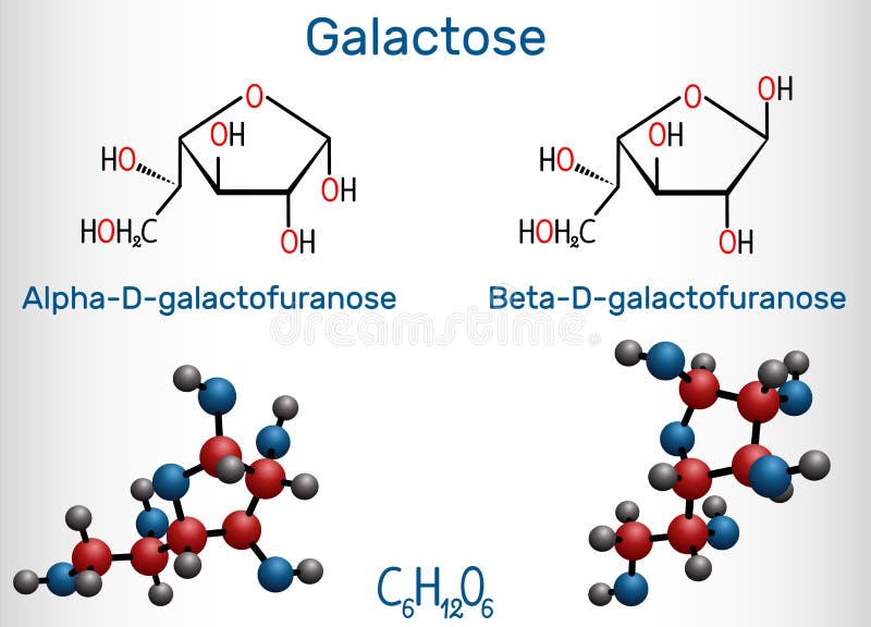 Galactose Ring Structure