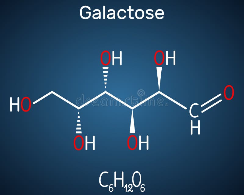 Galactose, D-galactose, Milk Sugar Molecule. Linear Form. Structural ...