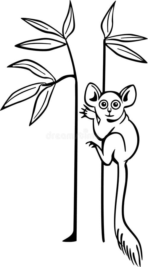 Galago sur une branche illustration de vecteur. Illustration du petit ...