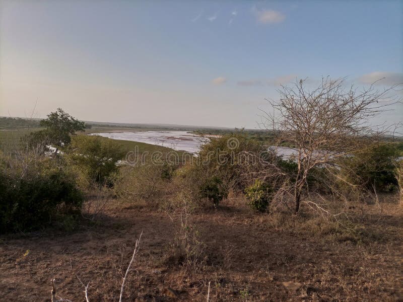 Galana River, Tsavo East National Park Stock Photo - Image of parc ...