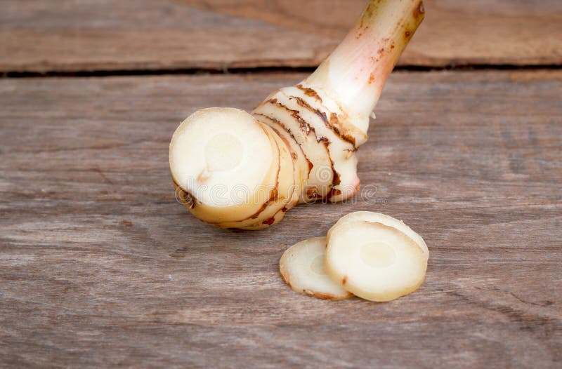 Galanga. stock photo. Image of specialty, ingredient - 57127876