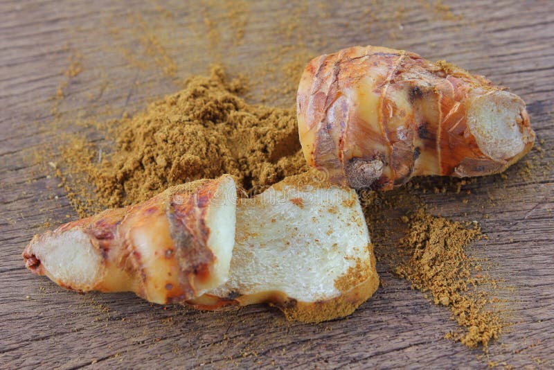 Galangal Root, Galangae Rhizome, for Fresh Herbal Medicine Stock Photo ...