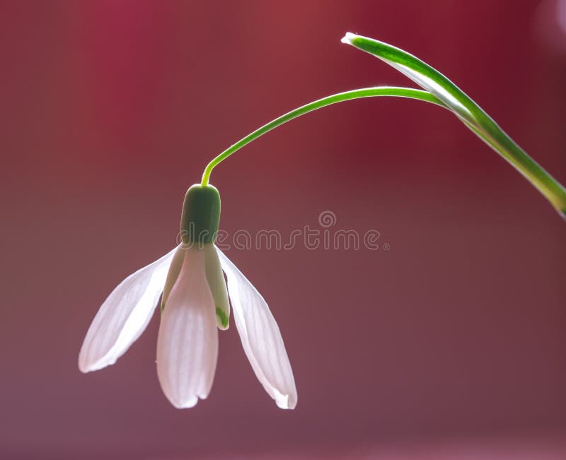 Teyakp - Photographer profile