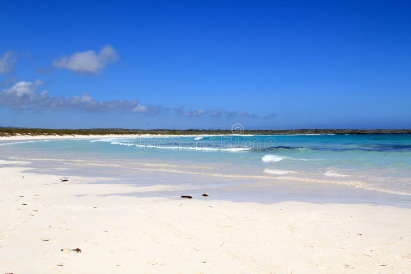 Galapagos Beach- Tortuga Bay Stock Photo - Image of sand, tortuga: 46301454