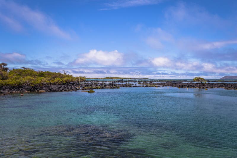 Concha de Perla stock photo. Image of snorkelling, tourists - 168148068