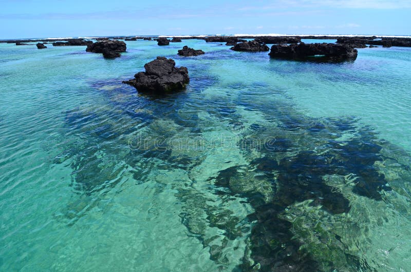 Galapagos Ocean Scene stock image. Image of list, bucket - 80433707
