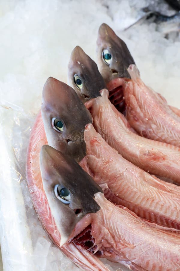 Galeus Oder Mustelus Spp-Haifische am Griechischen Fischmarkt Stockfoto ...