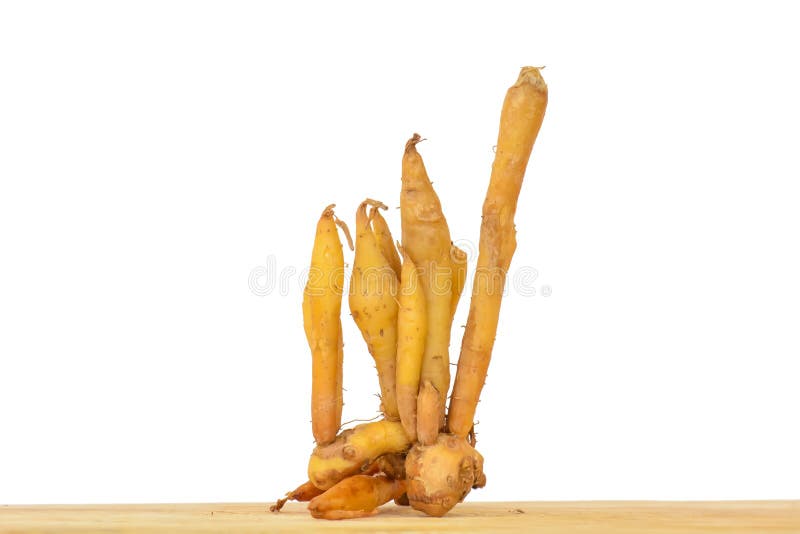 Galgantwurzel Oder Boesenbergia Rundbau- Oder Fingerwurzel Oder ...