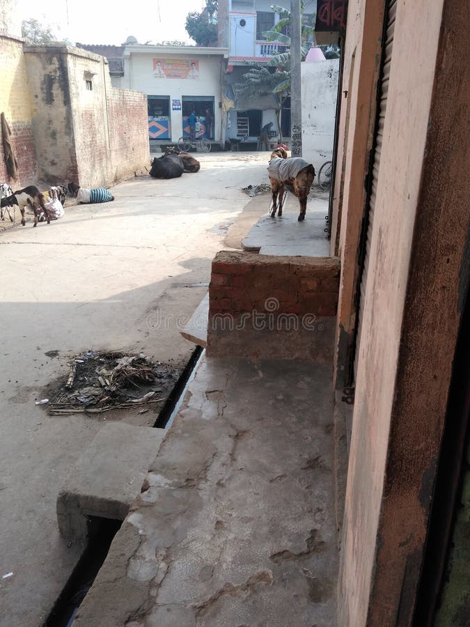 This is a gali in india editorial photography. Image of nlove - 167942337