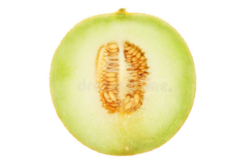 Melon section stock photo. Image of isolated, fruit, melon - 12424372