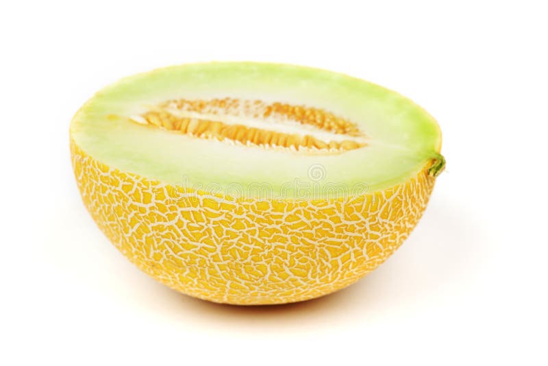 Galiamelone fotografering för bildbyråer. Bild av isolerat - 25378647