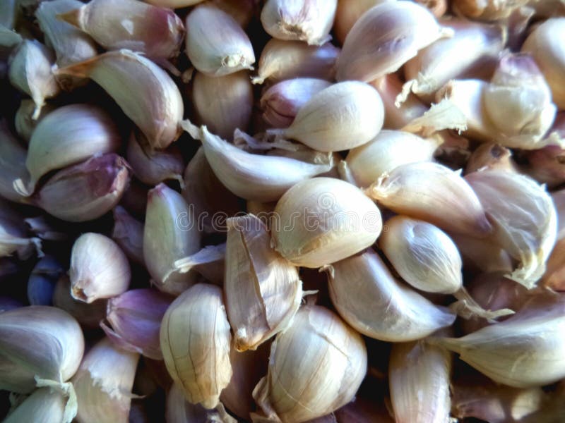 Galic stock image. Image of healthcare, eating, background - 20824115