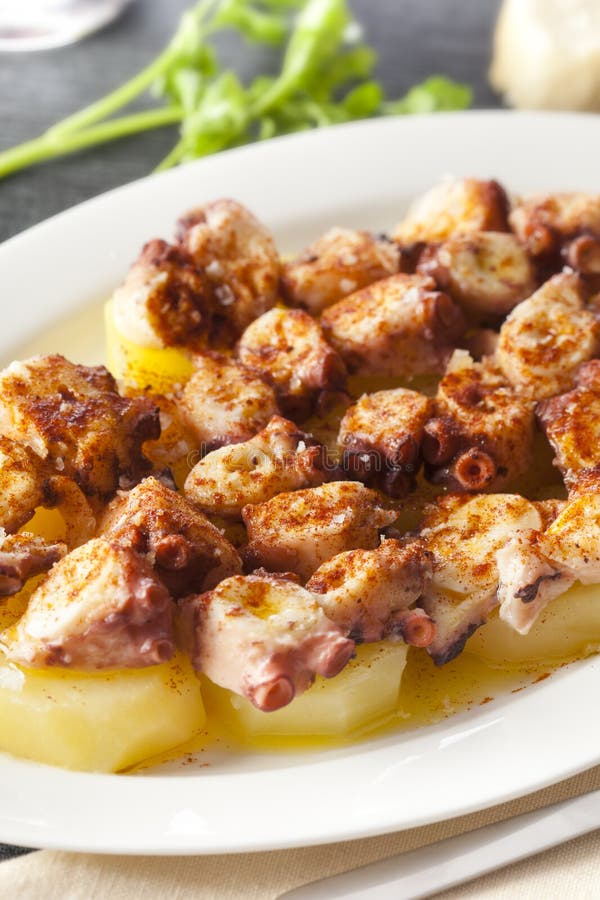 Spanish tapas. Octopus. stock image. Image of octopus - 11545259
