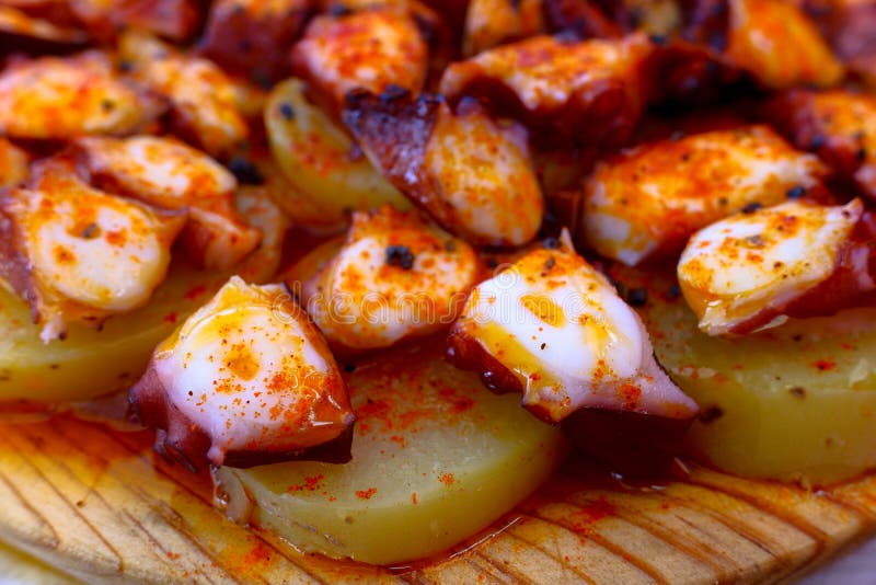 Galician octopus stock image. Image of seafood, copy - 240945443