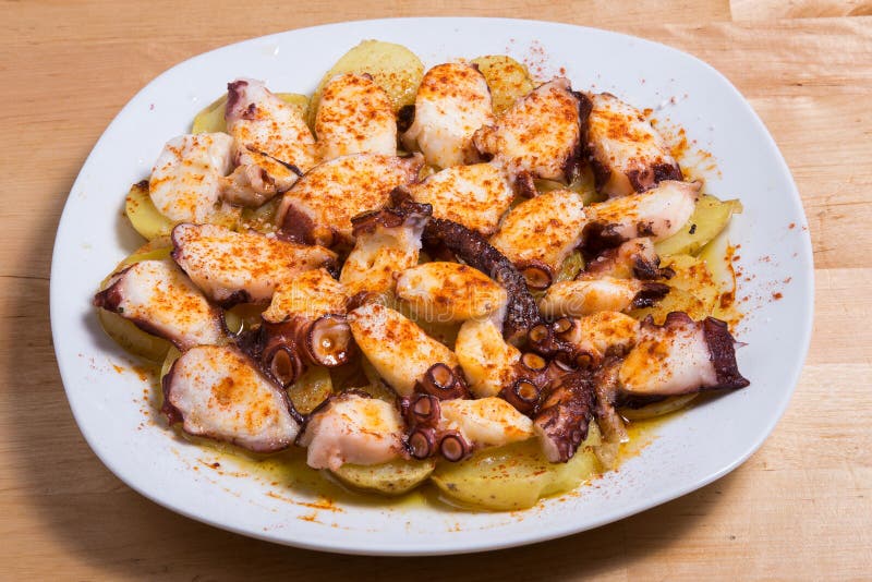 Galician style octopus stock photo. Image of octopus - 180095782