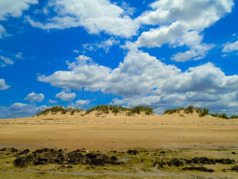 Galinhos, Brazil stock image. Image of outdoor, water - 72478639