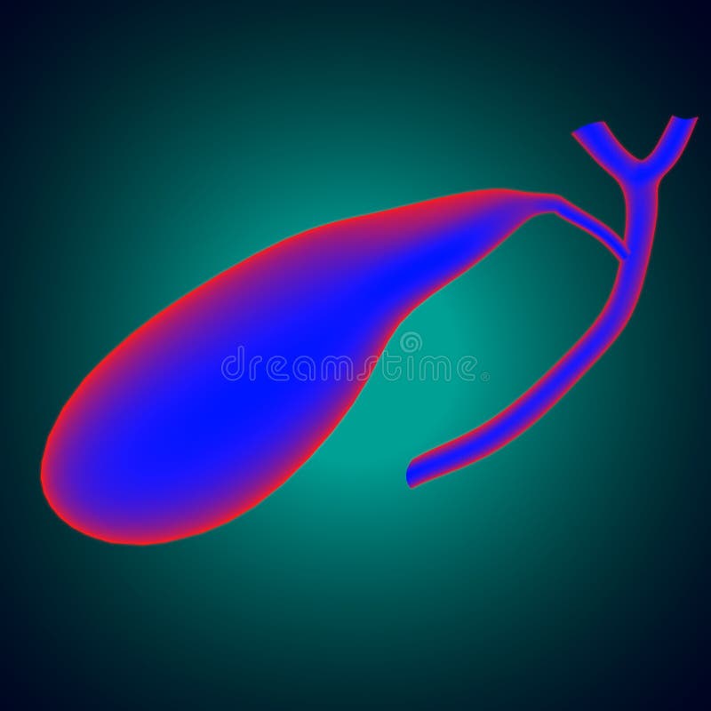 Gall Bladder Human Digestive System Anatomy 3d Rendering Stock Illustration Illustration Of