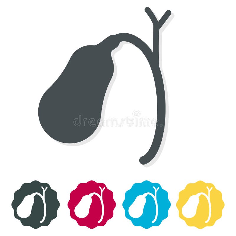 Gall Bladder Icon stock illustration. Illustration of stone - 177755302