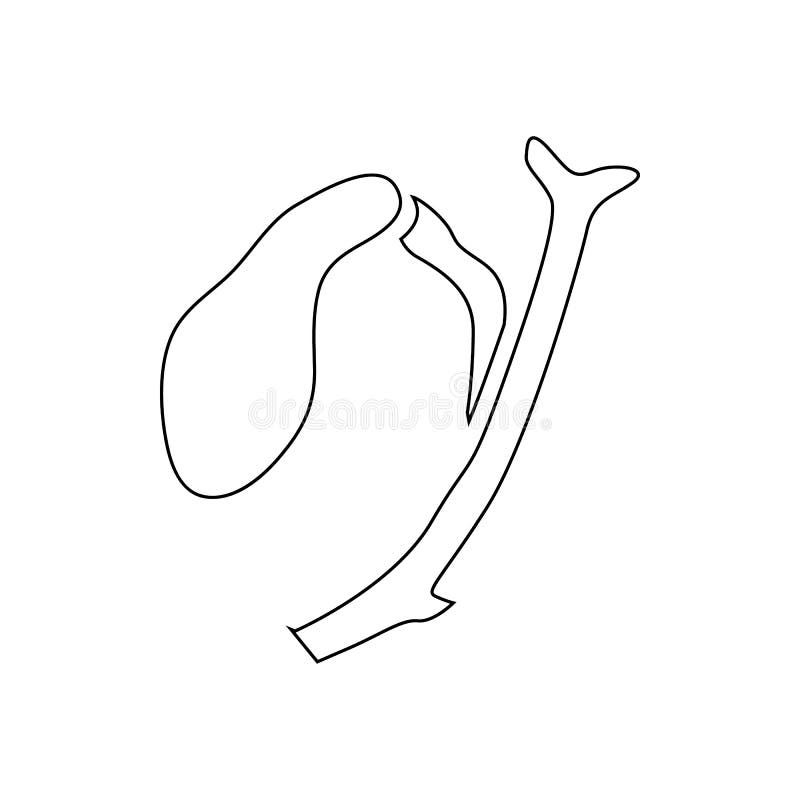 Gallbladder Icon, Outline Style Stock Vector - Illustration of gallstone, digestion: 83175565