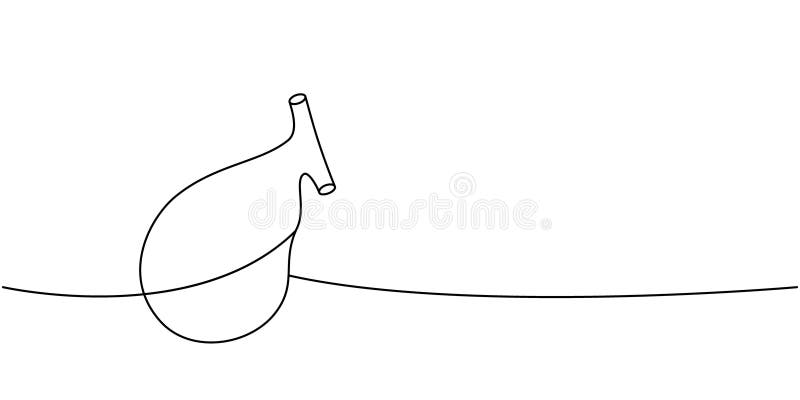 Gallbladder One Line Continuous Drawing. Human Internal Organ ...