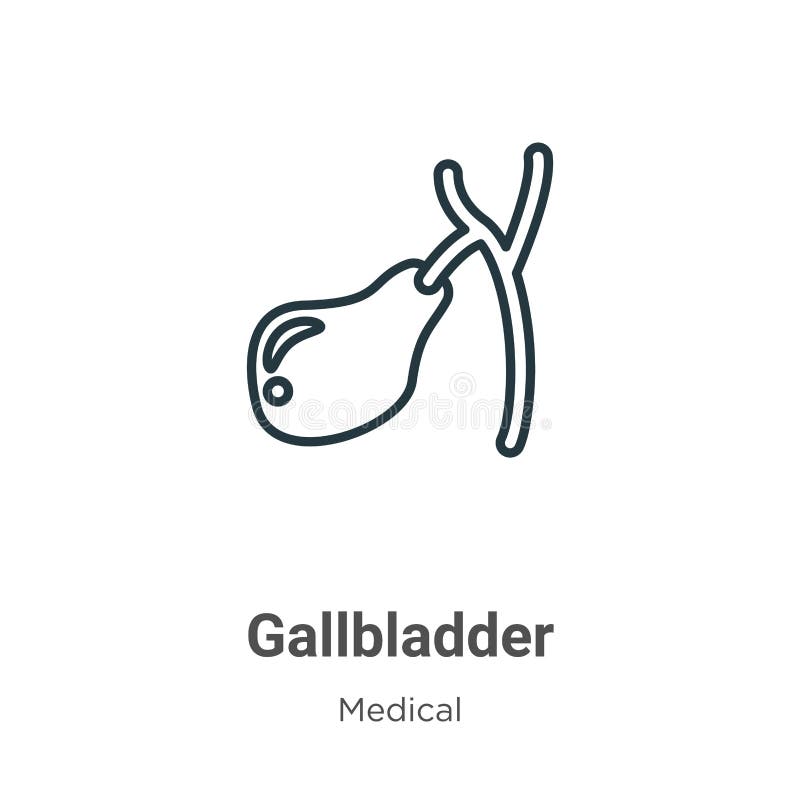 Gallbladder Icon Vector From Human Organ Collection. Thin Line ...