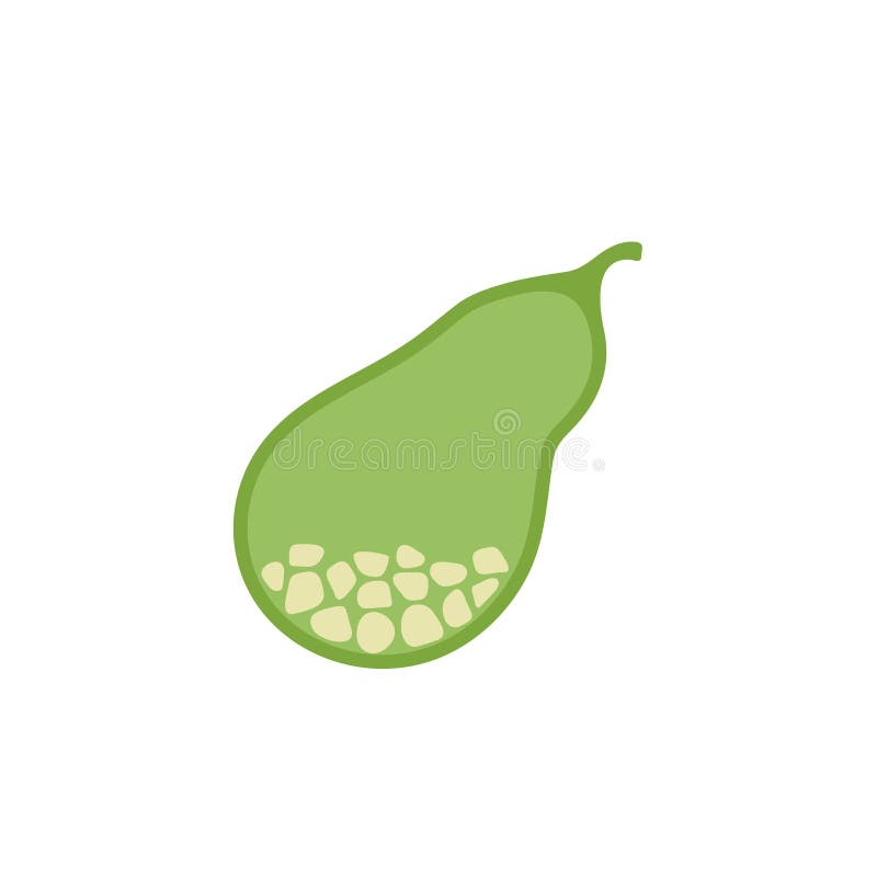 Gallbladder Cartoon Stock Illustrations – 1,177 Gallbladder Cartoon ...