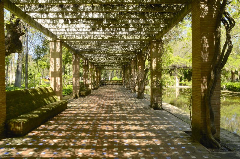 Pleached Allee Glen Burnie Gardens Winchester VA Stock Photo - Image of ...