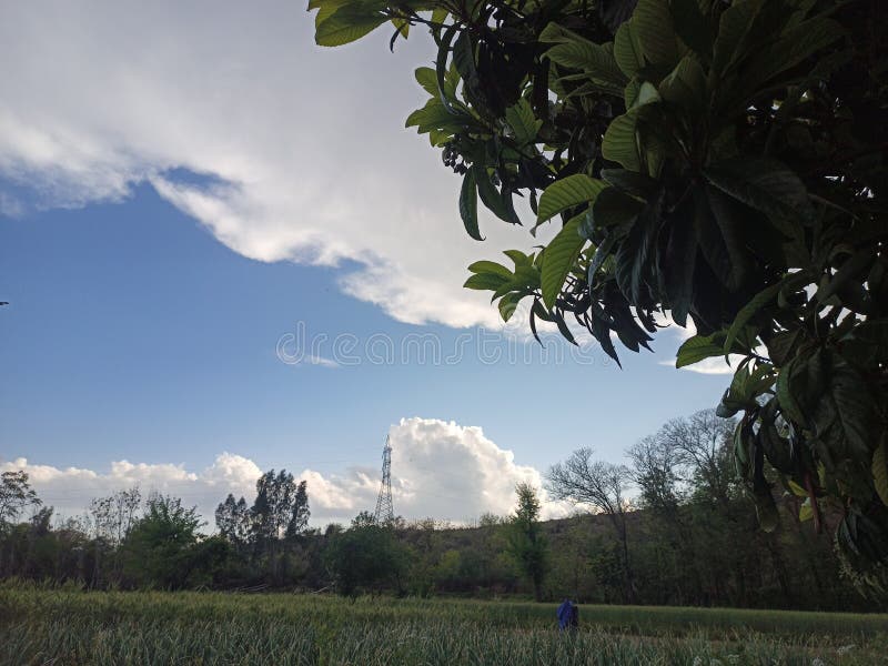 Clouds Scene Beauty Weather Stock Photo - Image of cloud, beauty: 274257342