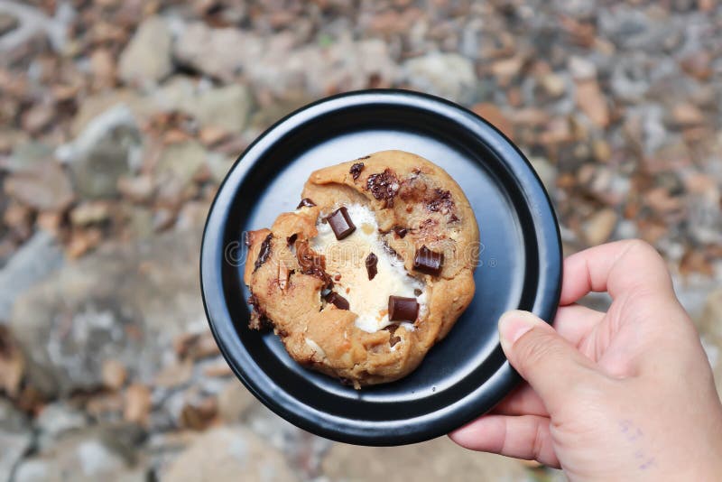 Galleta De Galleta O Galleta De Leche O Galleta De Chocolate Foto de ...