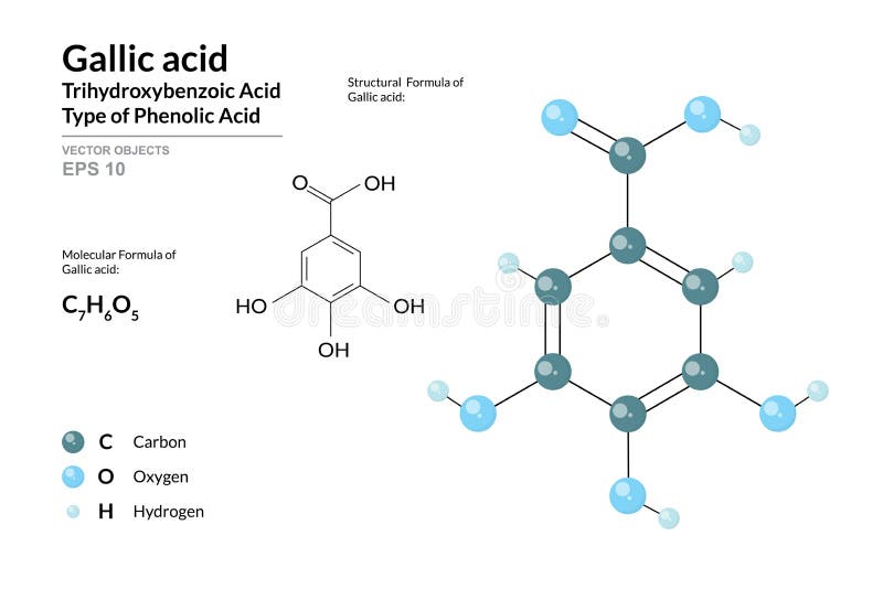 Gallic Acid. Structural Chemical Formula and Molecule 3d Model. Atoms ...