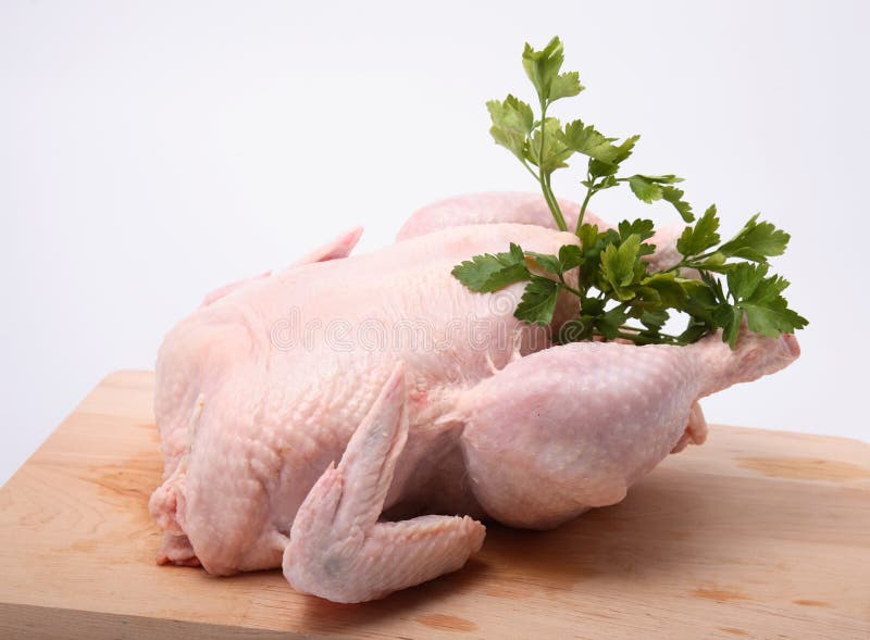 Gallina fresca imagen de archivo. Imagen de agricultura - 11157005