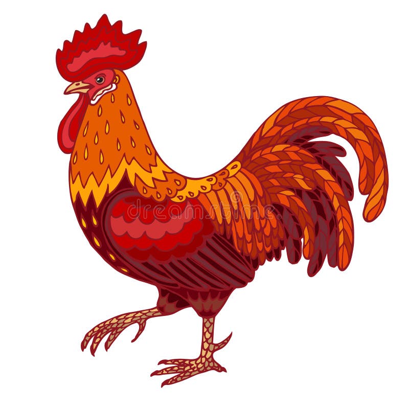 Gallo Rosso Disegnato a Mano Illustrazione Vettoriale - Illustrazione ...