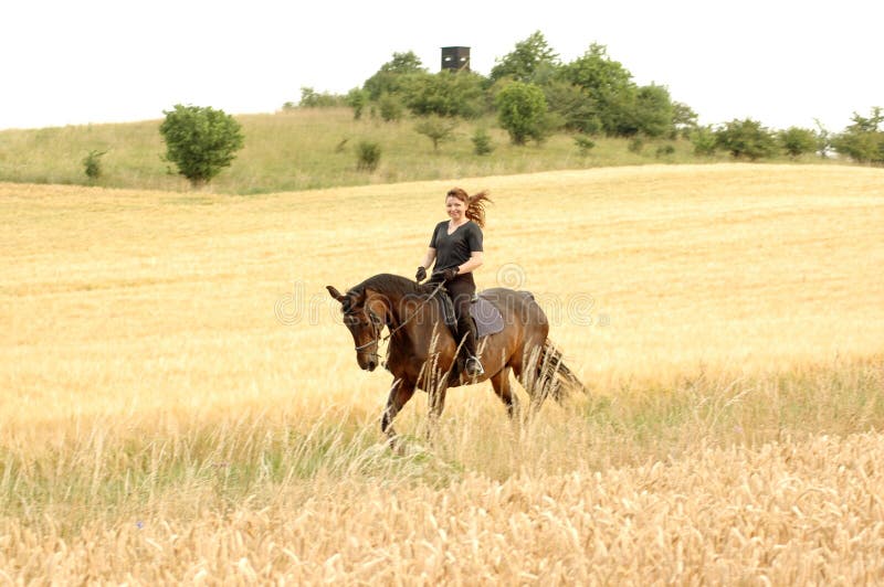 Gallop. stock photo. Image of horizon, nature, person - 12016006