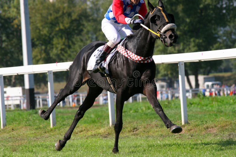Two horses racing stock photo. Image of competition, leading - 14477590