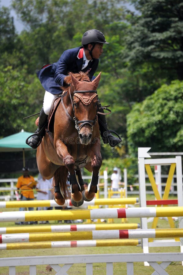 Horse Showjumping editorial stock photo. Image of turf - 17317918