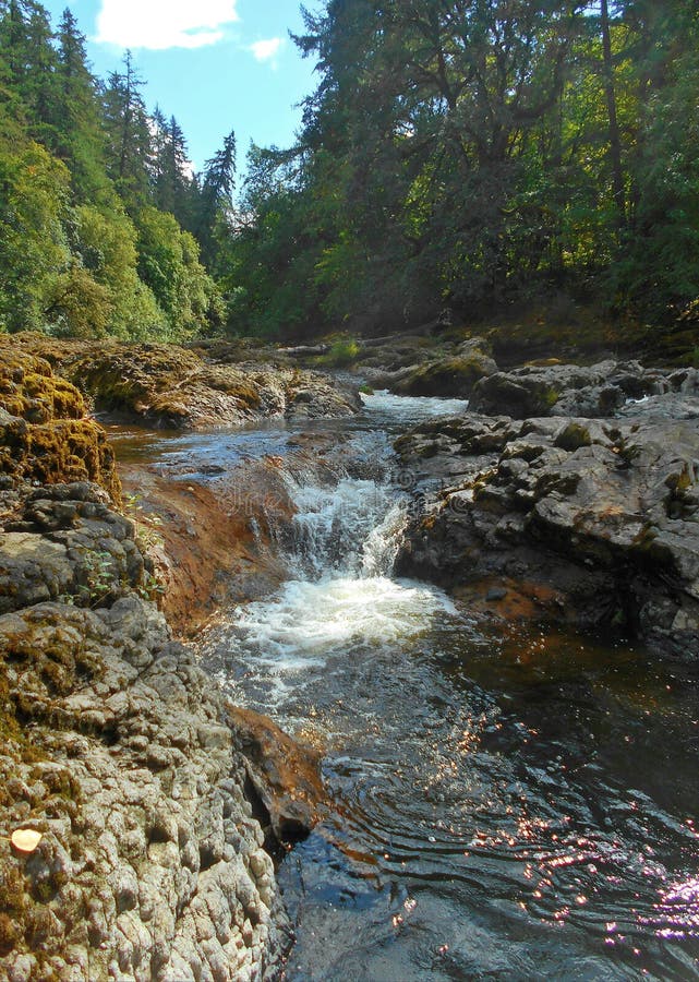 Galloping Calapooia stock photo. Image of greenery, falls - 109978102