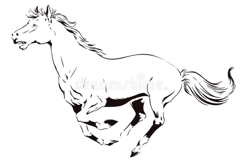 Boy Galloping Stock Illustrations – 39 Boy Galloping Stock ...