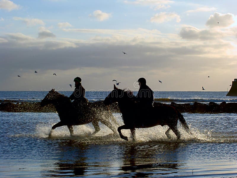 Galloping Horses stock image. Image of activities, people - 51859