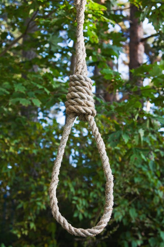 Gallows on a tree stock image. Image of equipment, murder - 27089105